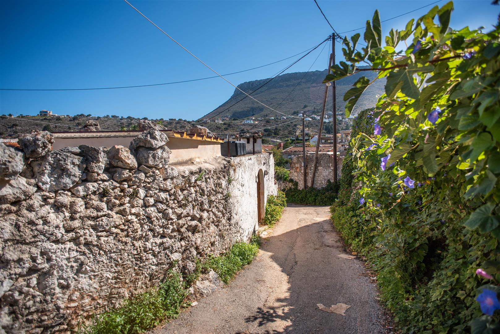 Kokkino Chorio - Your Home on Crete, Real Estate Agency